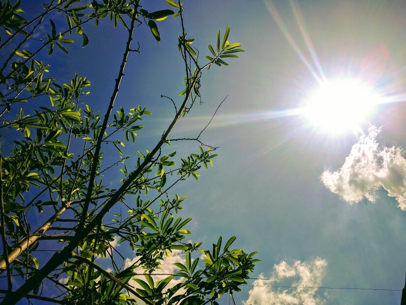 Clima Ciudad Juárez hoy, 16 de junio 2025: ¿Cuál es el pronóstico del ...
