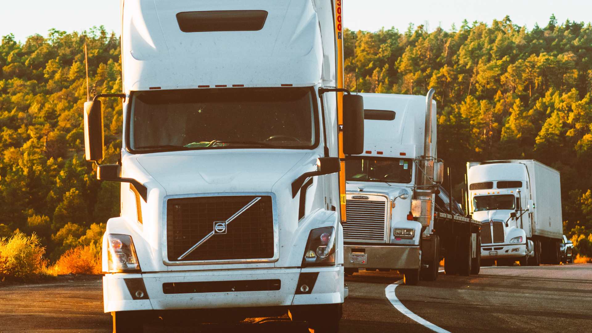 VIDEO: Vuelca tráiler en carretera México-Querétaro y habitantes roban ...