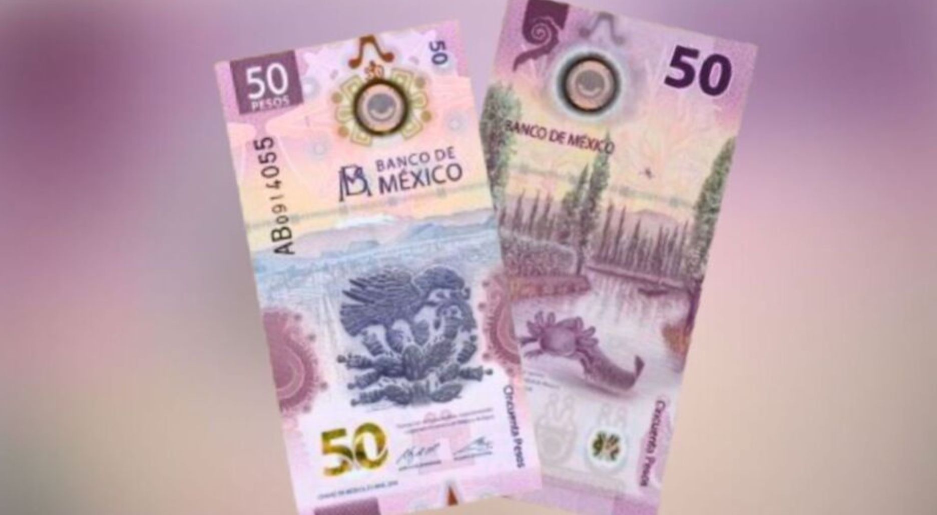 ¿Cuál es el billete de 50 pesos que te cambiará la vida y te hará ...