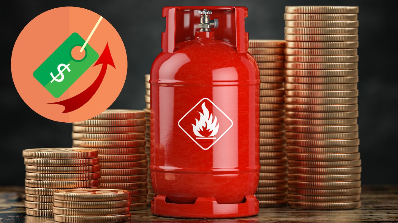 Precio del Gas LP en Guanajuato del 8 al 14 de diciembre de 2024 ...