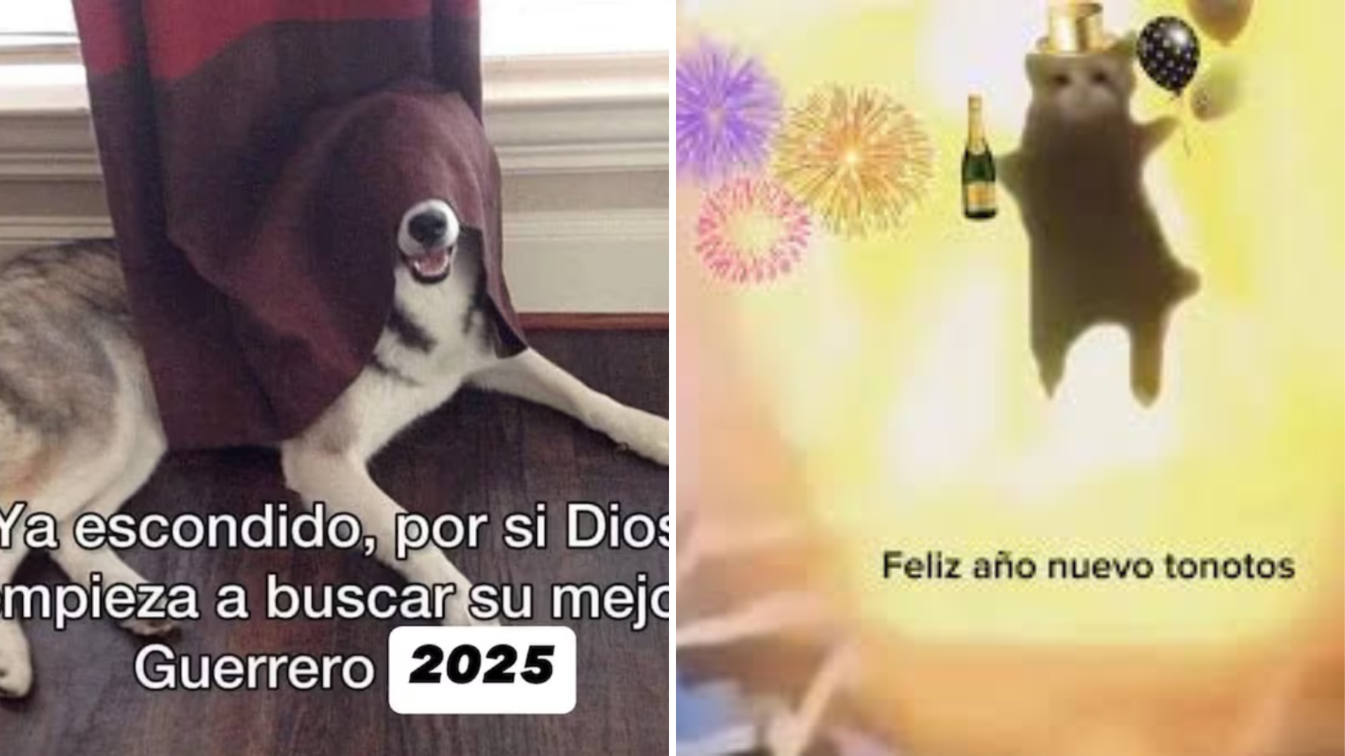 Memes de Año Nuevo: humor para despedir el año