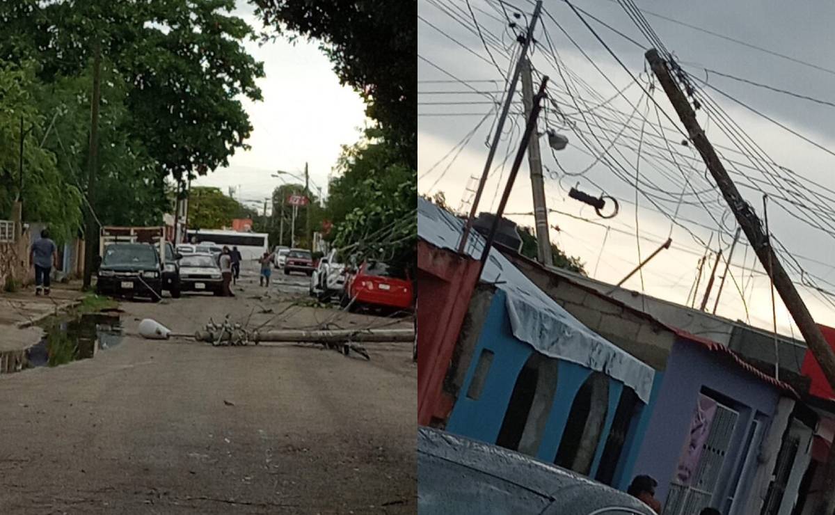 Turbonada en Mérida deja afectaciones: FOTOS