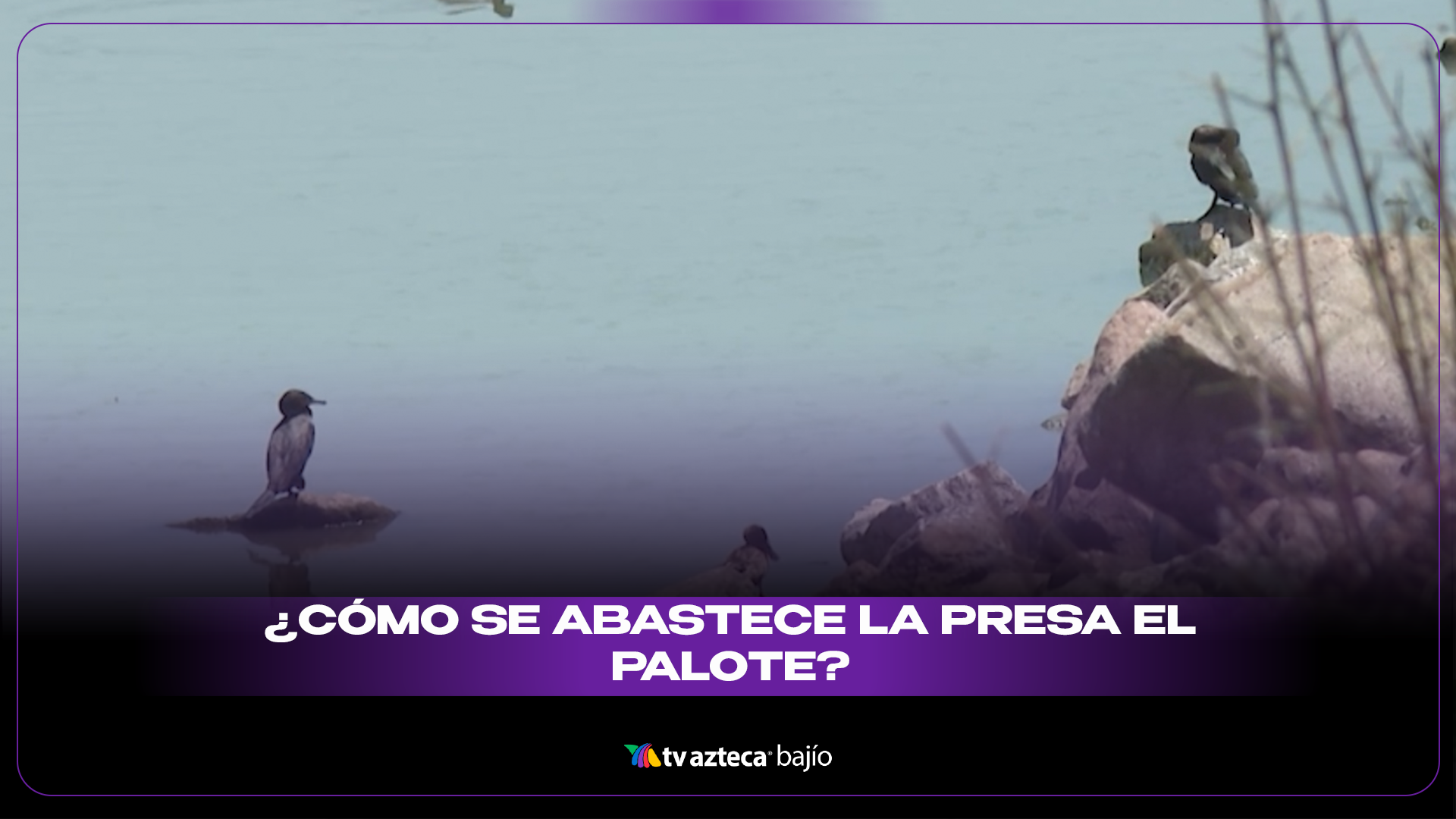 ¿Cómo se abastece la presa El Palote?