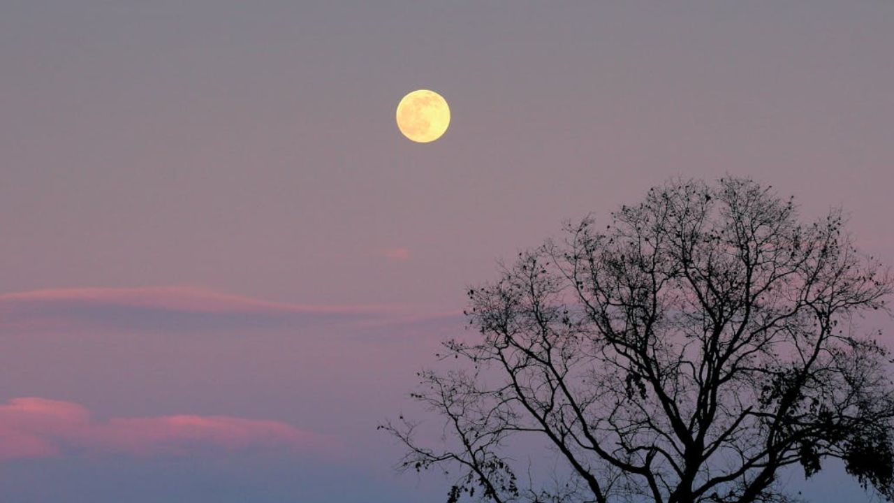 🌑Luna llena de mayo 2024: Día y fecha de la "Luna de flores" 💮