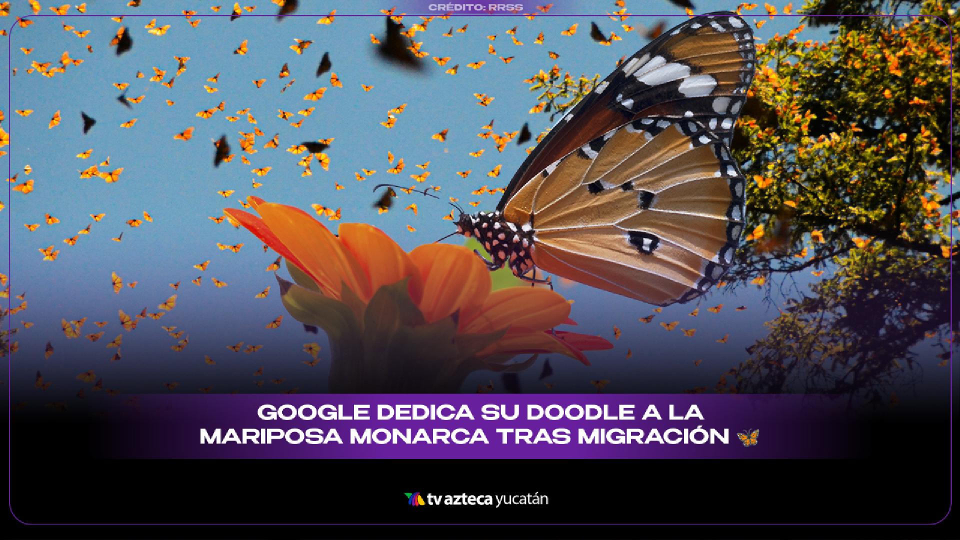 Google Doodle sorprende hoy con homenaje a Mariposa Monarca