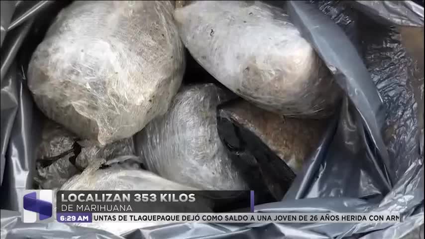 Hallan 350 kilos de marihuana en canal pluvial de Guadalajara, colonia 5 de Mayo