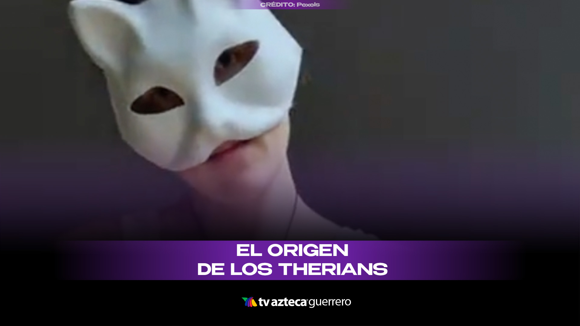 ¿Qué son los Therians? La tendencia que muestra su estilo de vida con ...