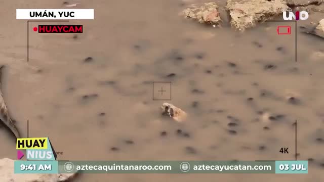 HUAY NIUS | Todo un fraccionamiento en Umán se encuentra totalmente ...