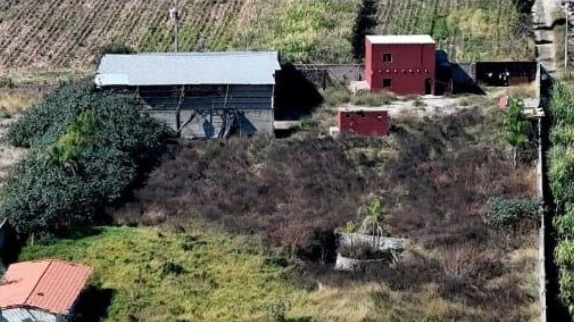 Colectivo Guerreros Buscadores de Jalisco denuncian abandono el Rancho ...