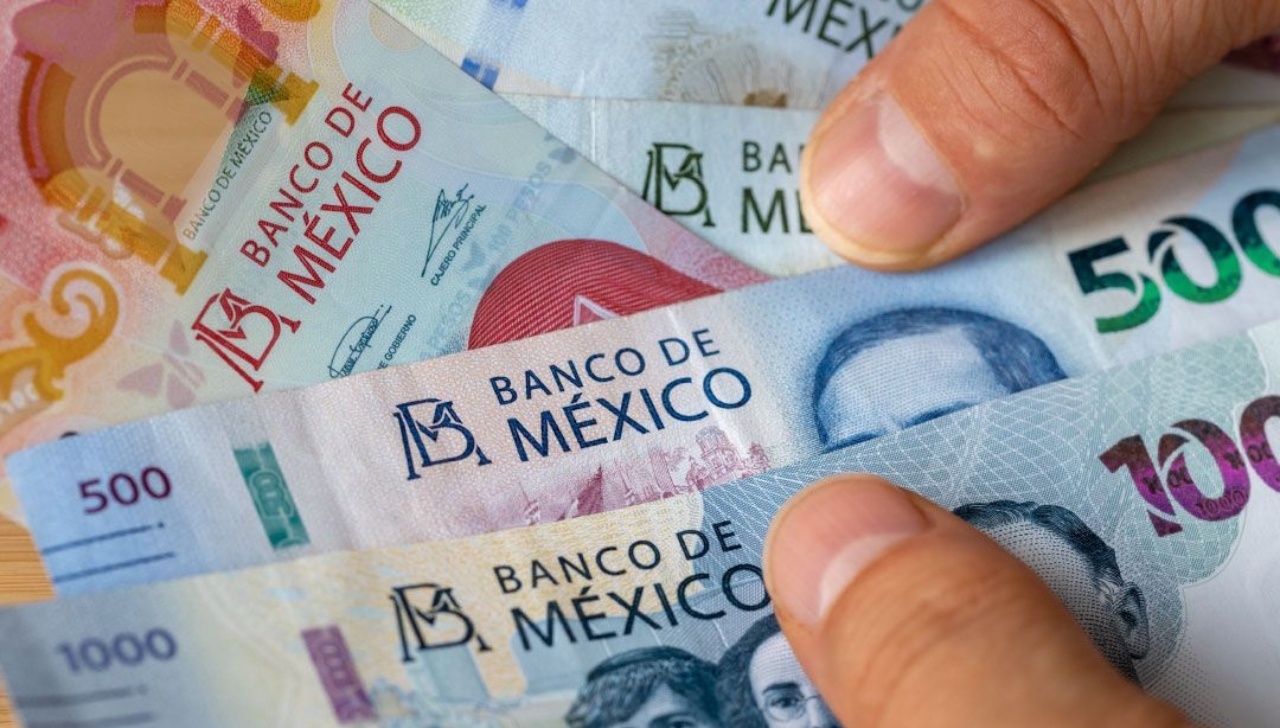 Estas las 7 familias de billetes autorizadas por Banxico para su colección