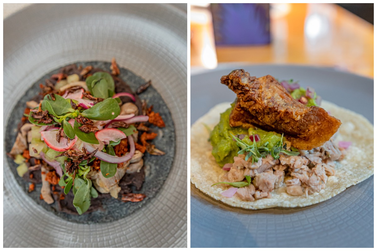 Restaurante Chapulín celebra al taco con 9 deliciosas versiones de este ...