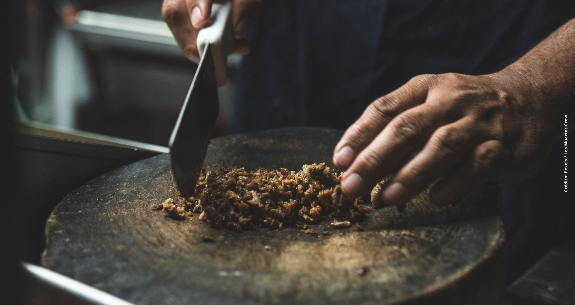 Tacos de perro: ¿Cómo identificar la carne?