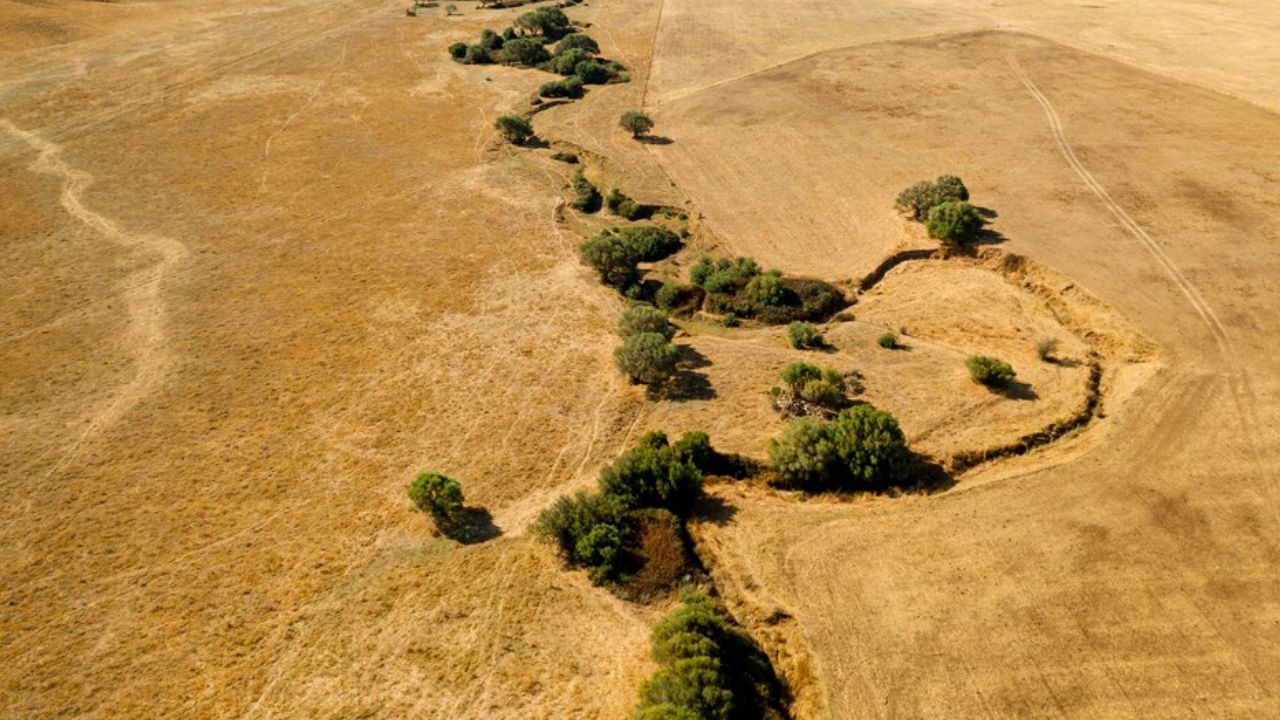 ¿Terremoto en California hoy jueves 5 de diciembre de 2024 activó la ...
