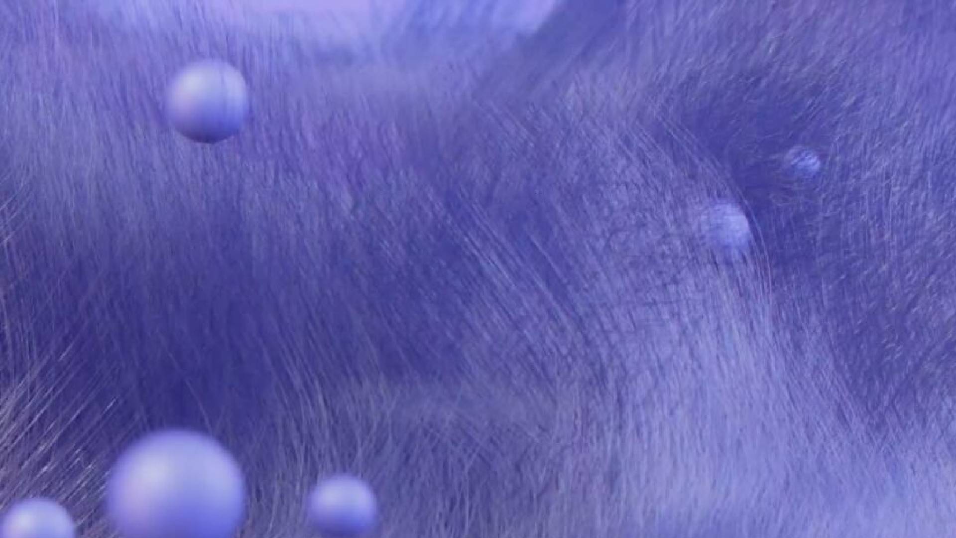 "Veri Peri" es el color del año 2022 según Pantone