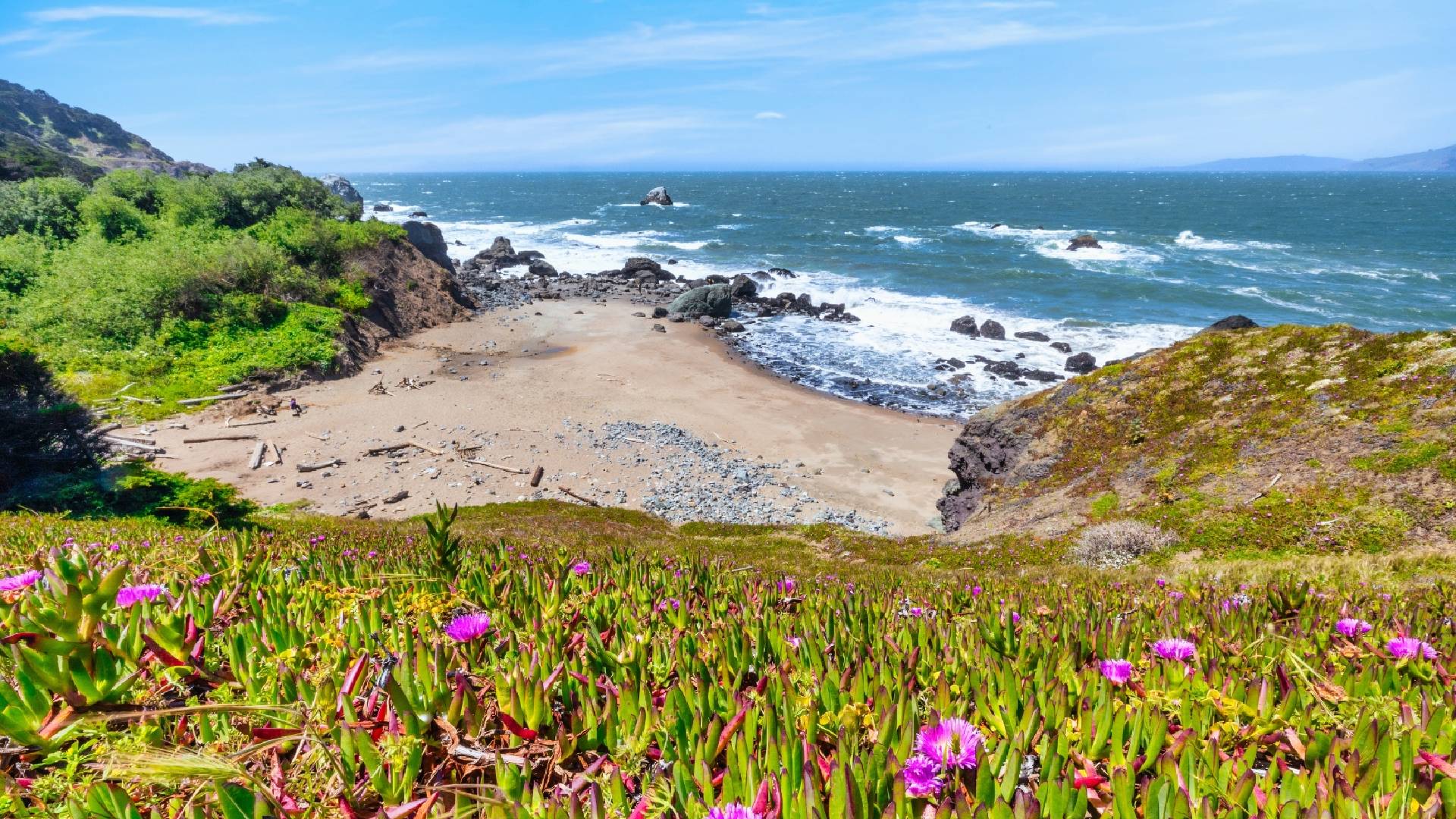 Puedes entrar gratis a los parques nacionales de California durante la ...