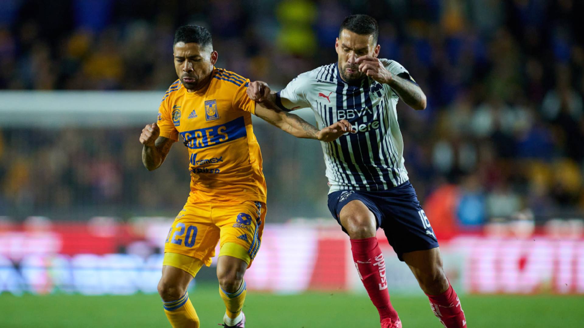 ¿Qué hizo la botarga de Tigres y por qué lo pueden sancionar?