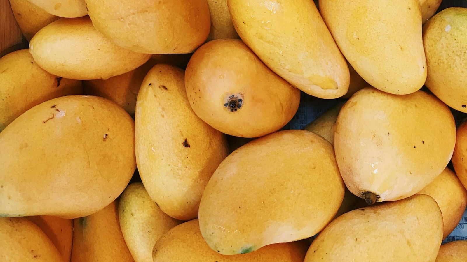¿Cuál es el origen del mango Ataúlfo?