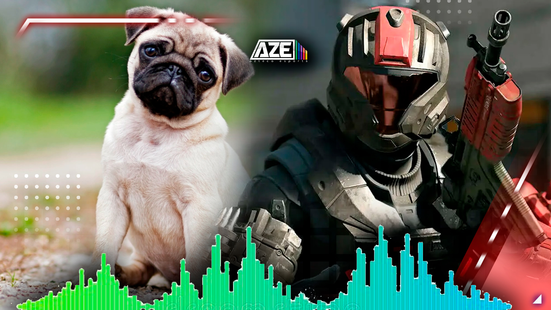 Algunos de los sonidos de Halo son creados con pugs