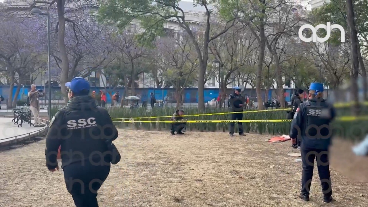 VIDEO: Hallan sin vida a un hombre en la Alameda Central de CDMX ...