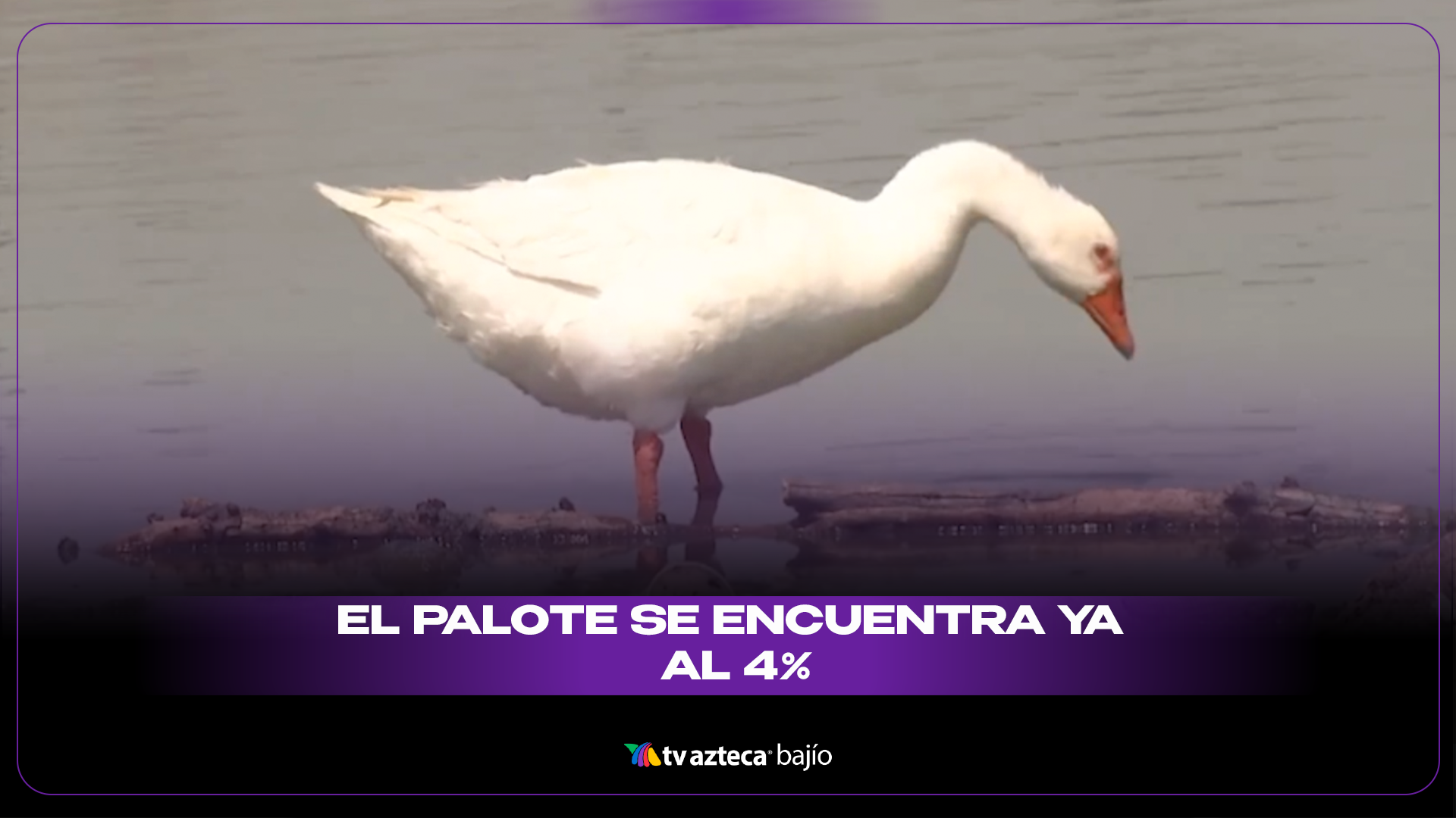 Sequías en Guanajuato: ¿Cuál es el nivel de la Presa El Palote, al 15 ...