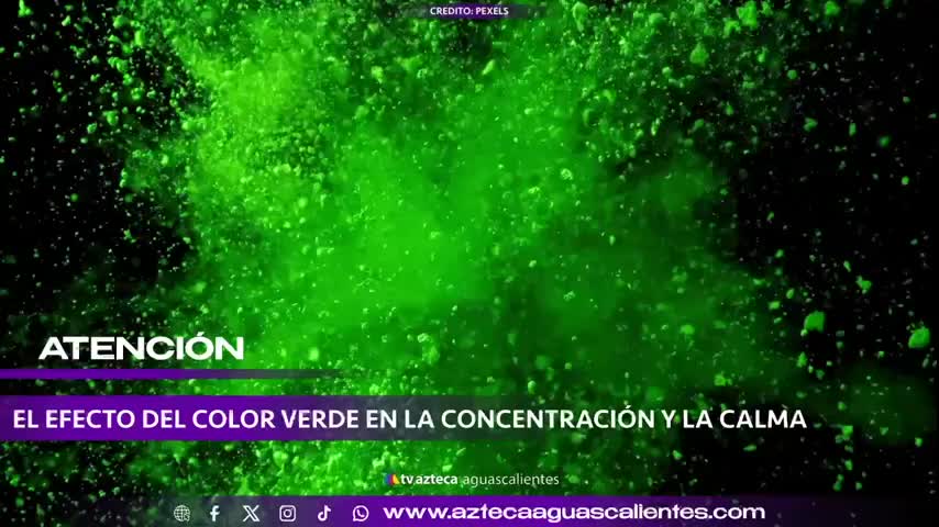 Color verde: cómo ayuda a la calma y mejora la concentración