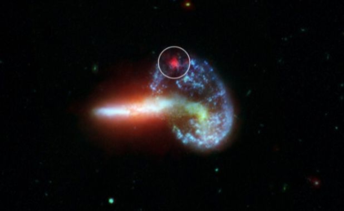 Astrónomos captan por primera vez explosión de supernova