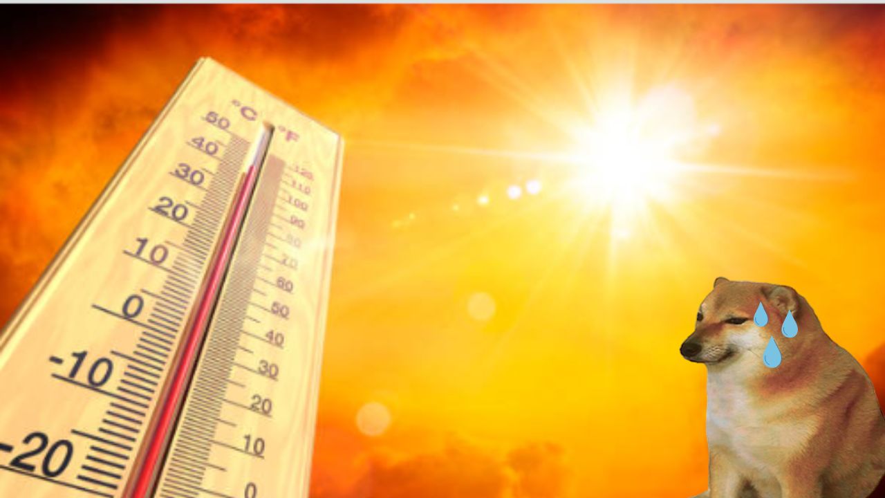 Ola de calor en México 2026: dónde hará más calor, día crítico y lista ...