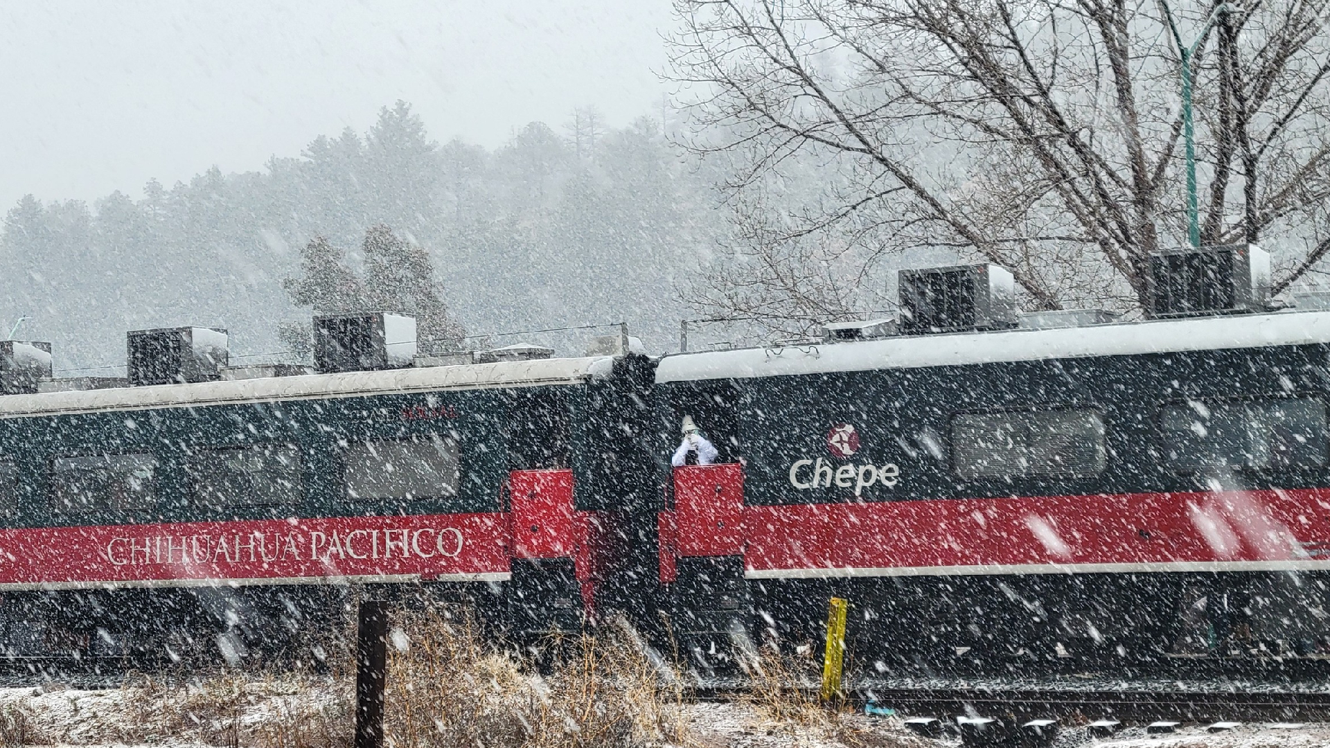 La nieve transforma Creel: así fue la llegada del Chepe en plena ...