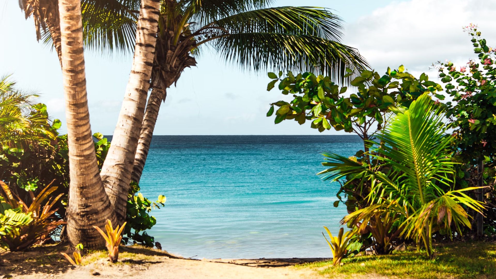 Isla y playa: dos destinos ideales para tus vacaciones de verano en ...