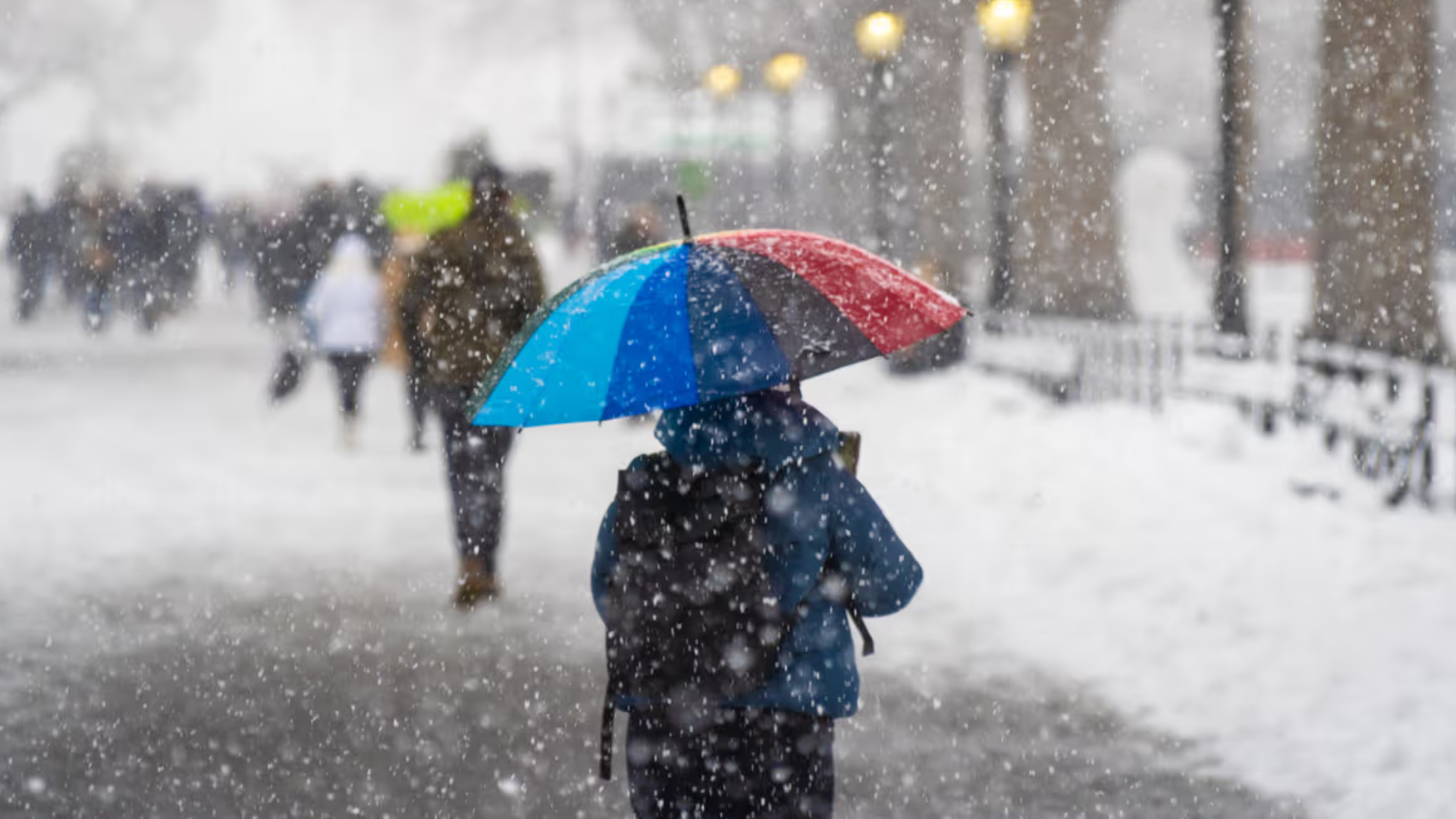 Segunda tormenta invernal llegará al estado de Chihuahua con frío ...