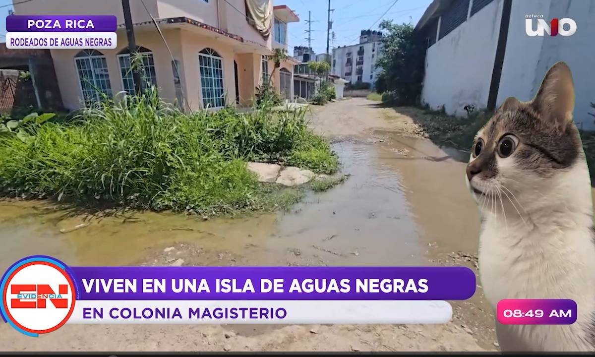 Vecinos de colonia Magisterio de Poza Rica viven entre aguas negras