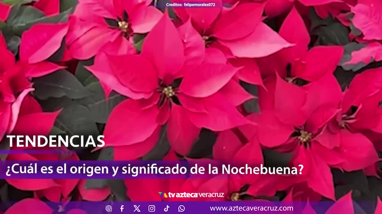 ¿Cuál es el origen y significado de la Nochebuena?