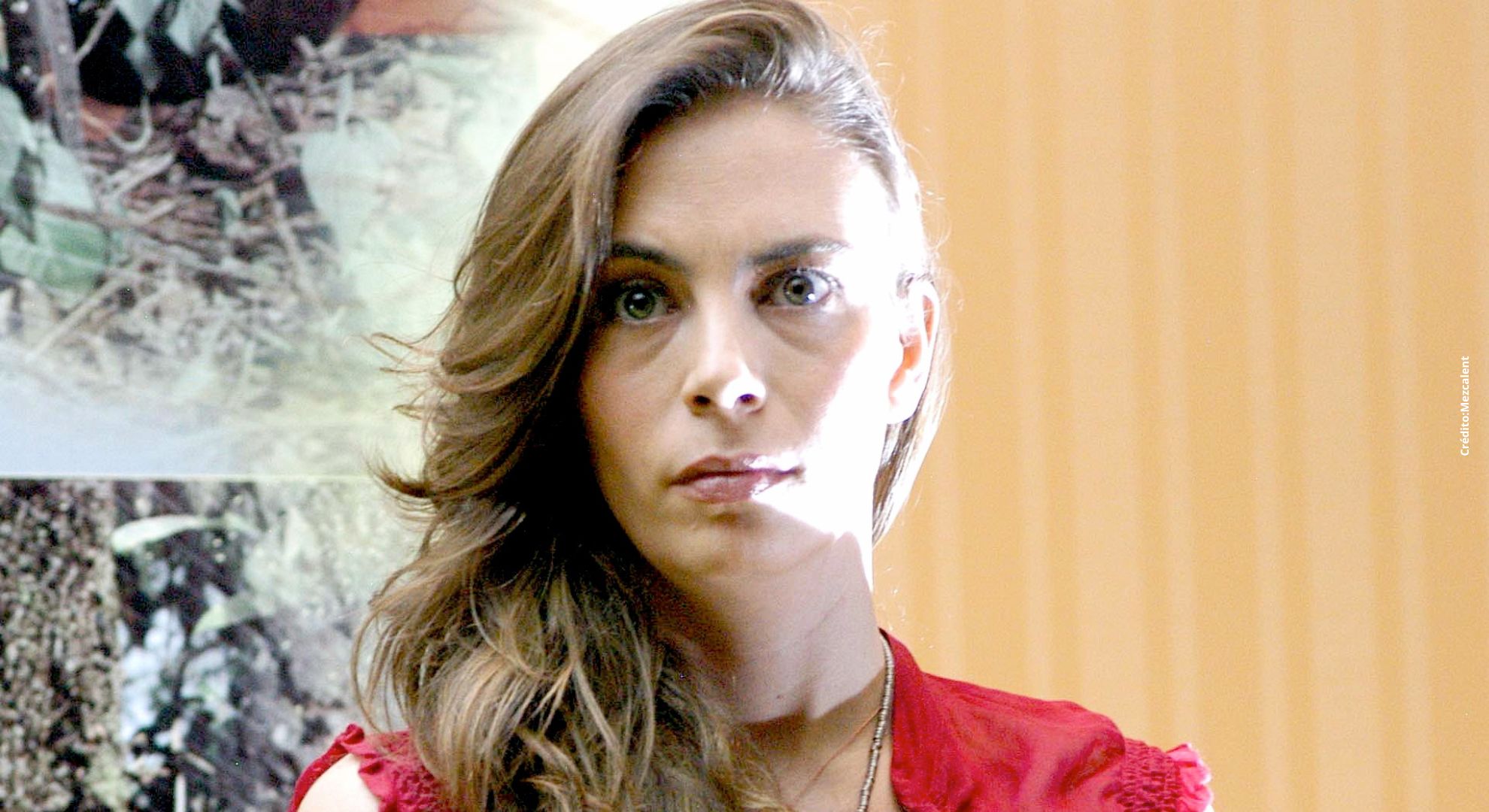 Sasha Sokol habla sobre el caso contra Luis de Llano por abuso