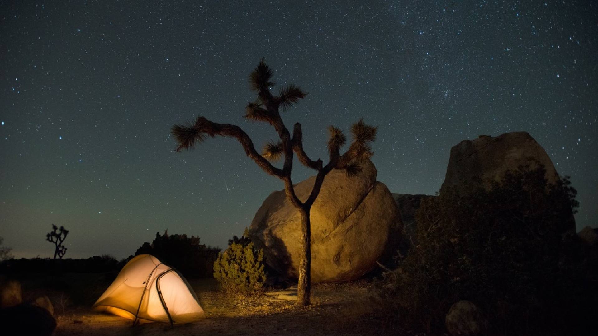 Este parque nacional de California espera una oleada de visitantes: lo ...