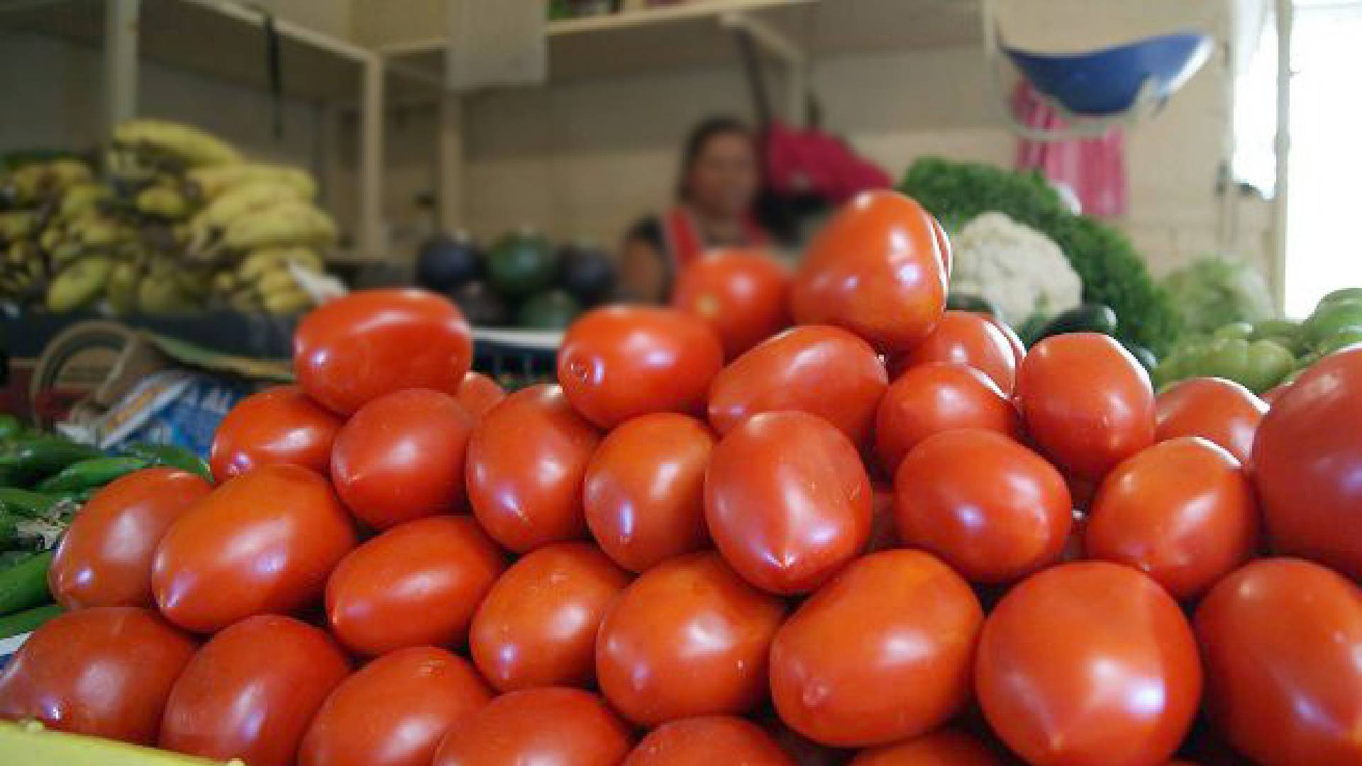 ¿Cuál es el precio del kilo de tomate en Cancún? , reportan aumento