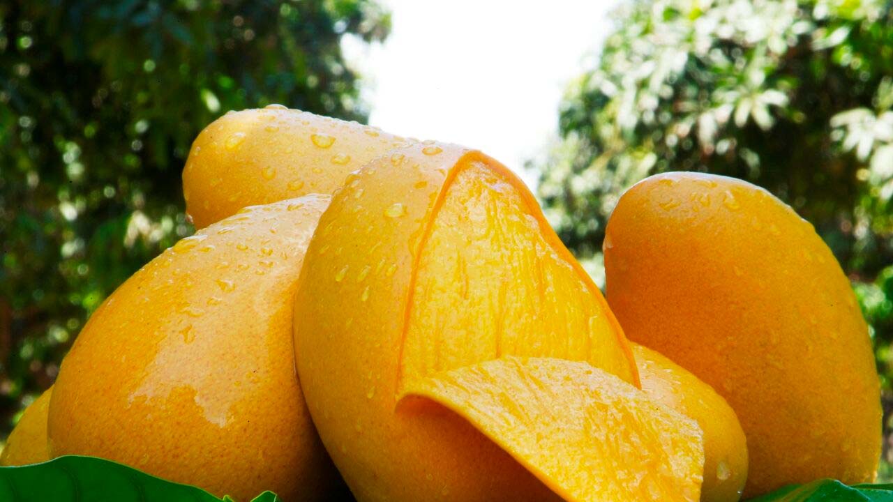 ¿Cuáles son los beneficios de consumir el Mango Ataúlfo?