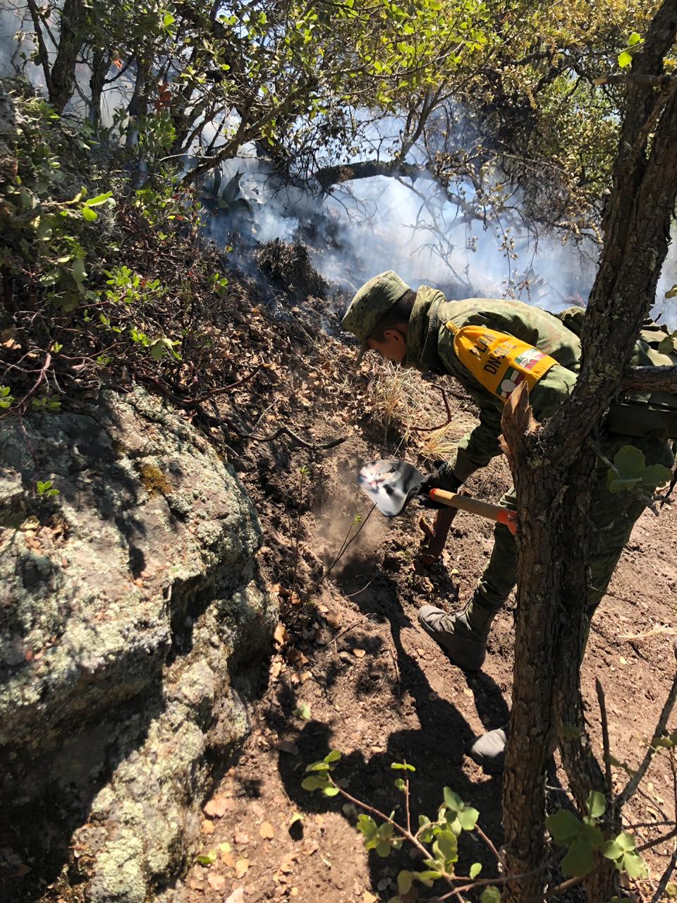 Ayudan soldados a sofocar incendios forestales