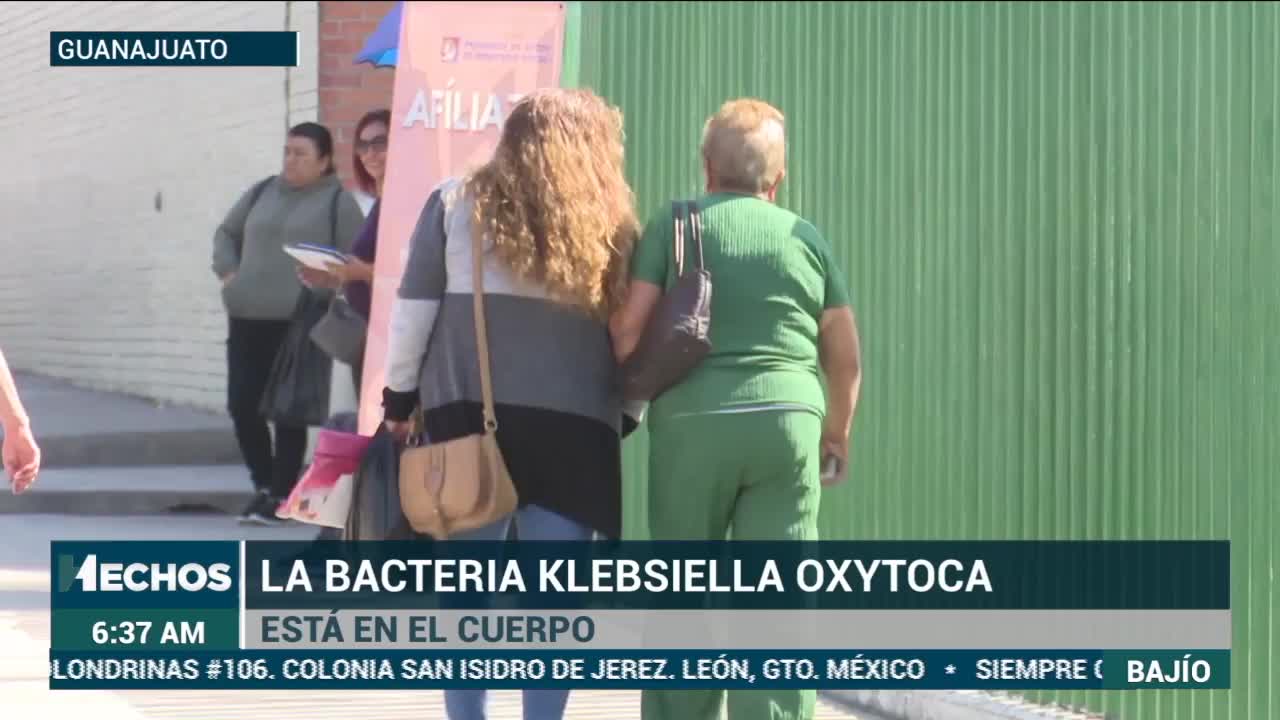 ¿Qué es la bacteria Klebsiella Oxytoca?