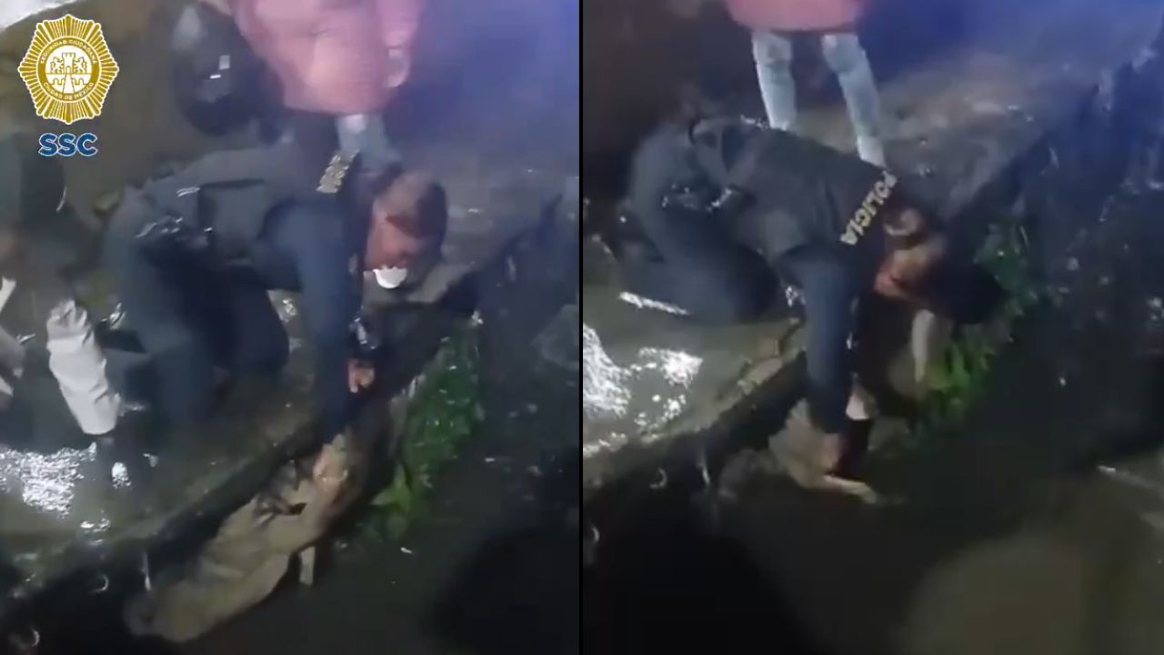 Policía de CDMX rescata a perrito de ahogarse en la presa San Francisco ...