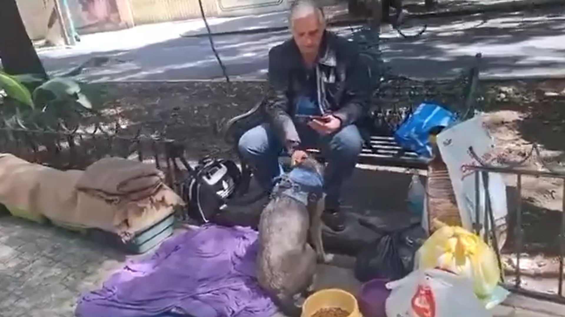 Encuentran al actor Alejandro Landeros viviendo en la calle junto a sus ...