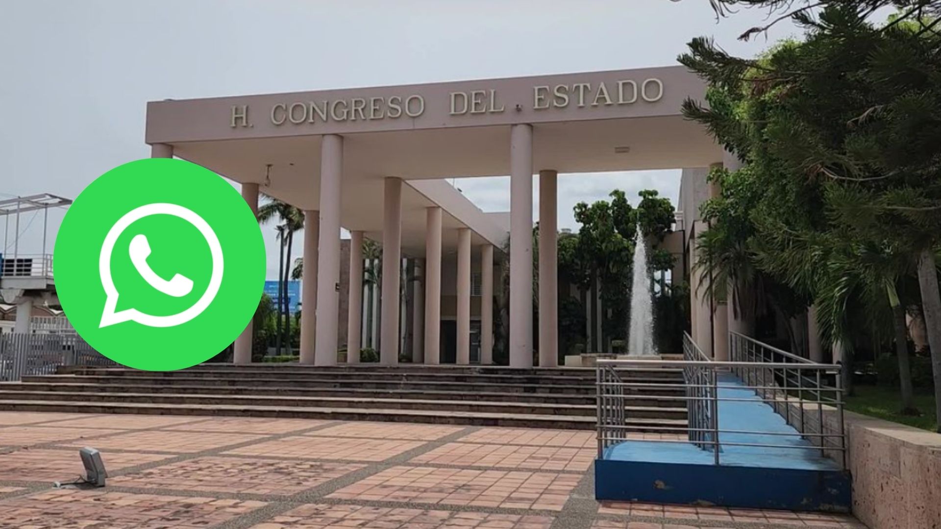 Denuncia violencia política WhatsApp Sinaloa: caso Almendra Negrete vs ...