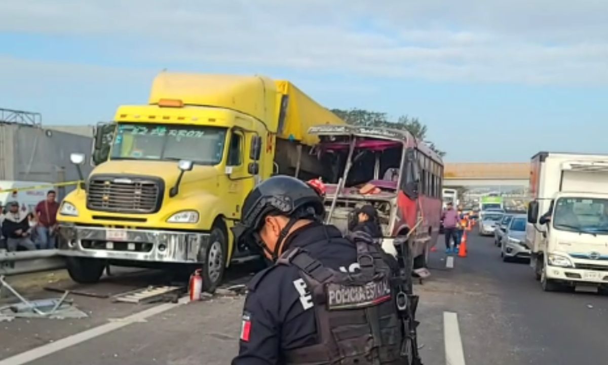 Accidente entre autobús y tráiler deja un fallecido en Veracruz, hoy 17 de enero 2025 (+VIDEO)