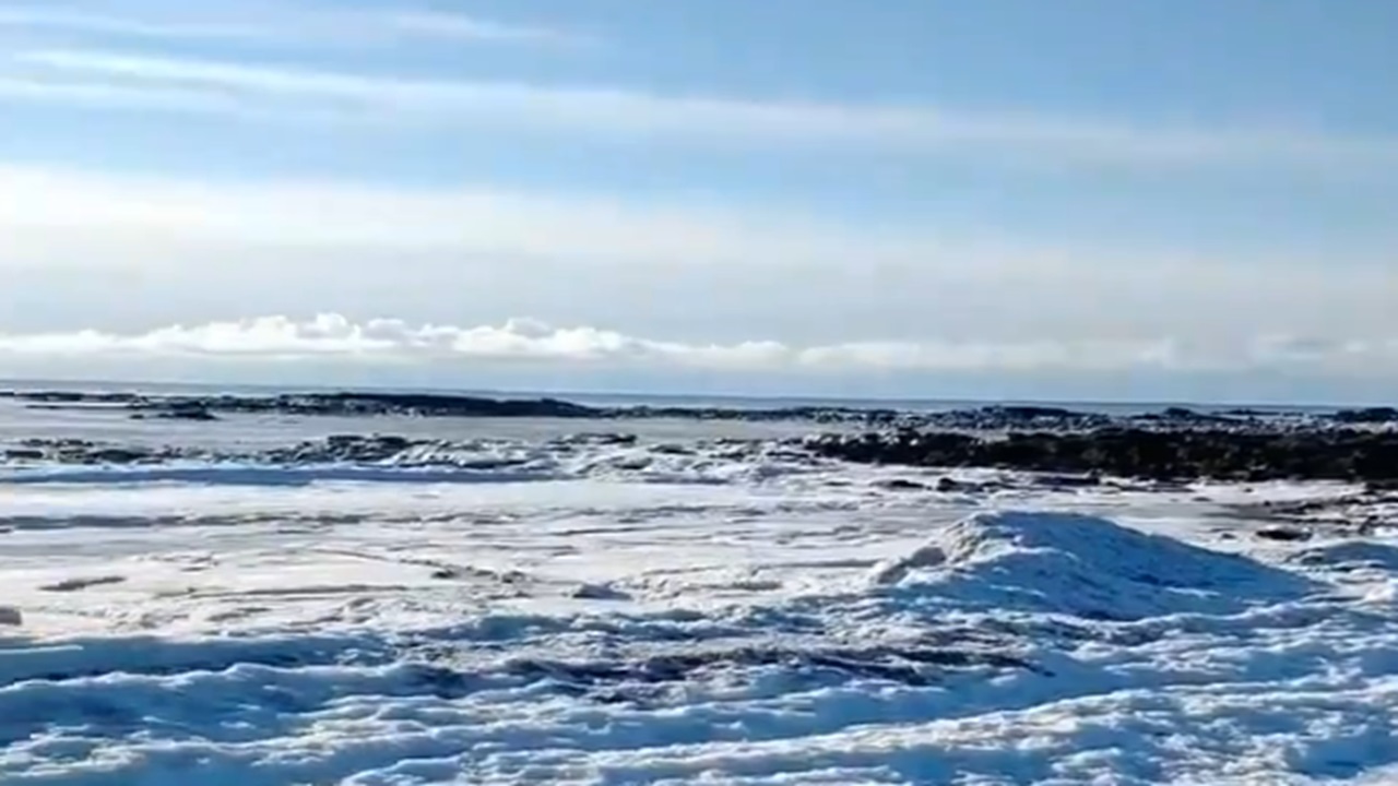 Se congela el mar en Argentina por frío extremo,