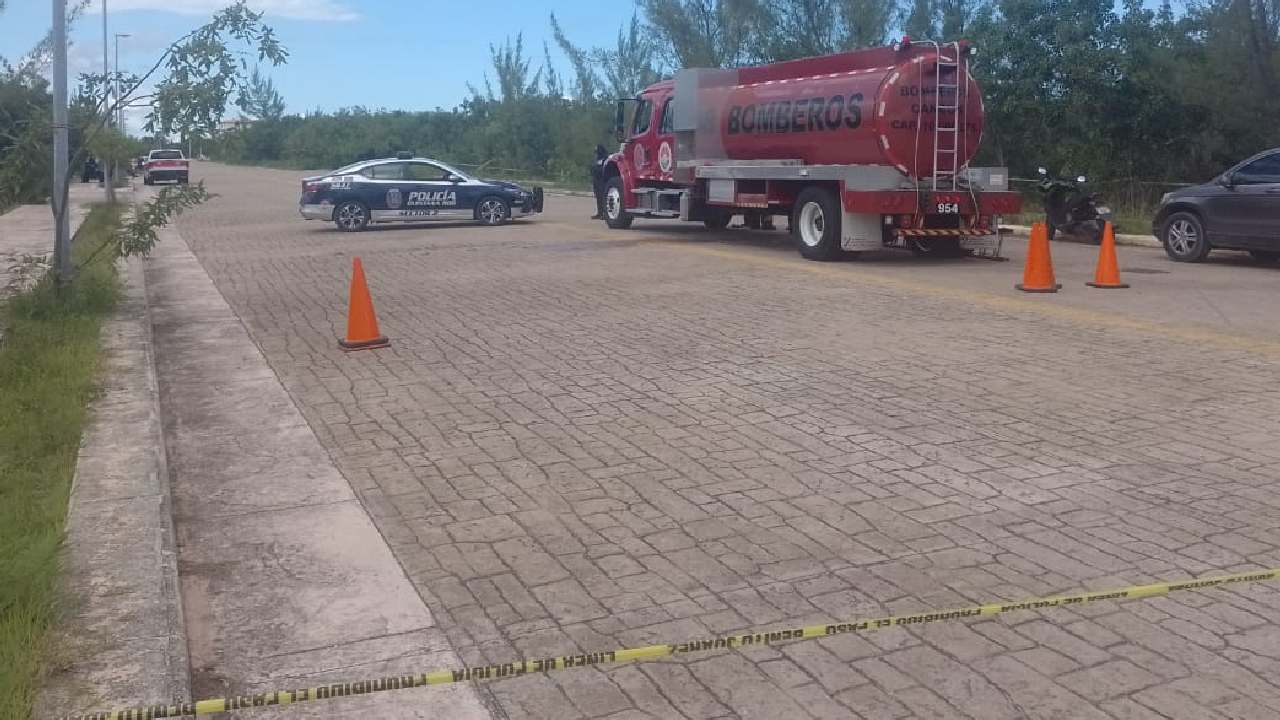 Reportan a persona atacada por un cocodrilo en Malecón Tajamar