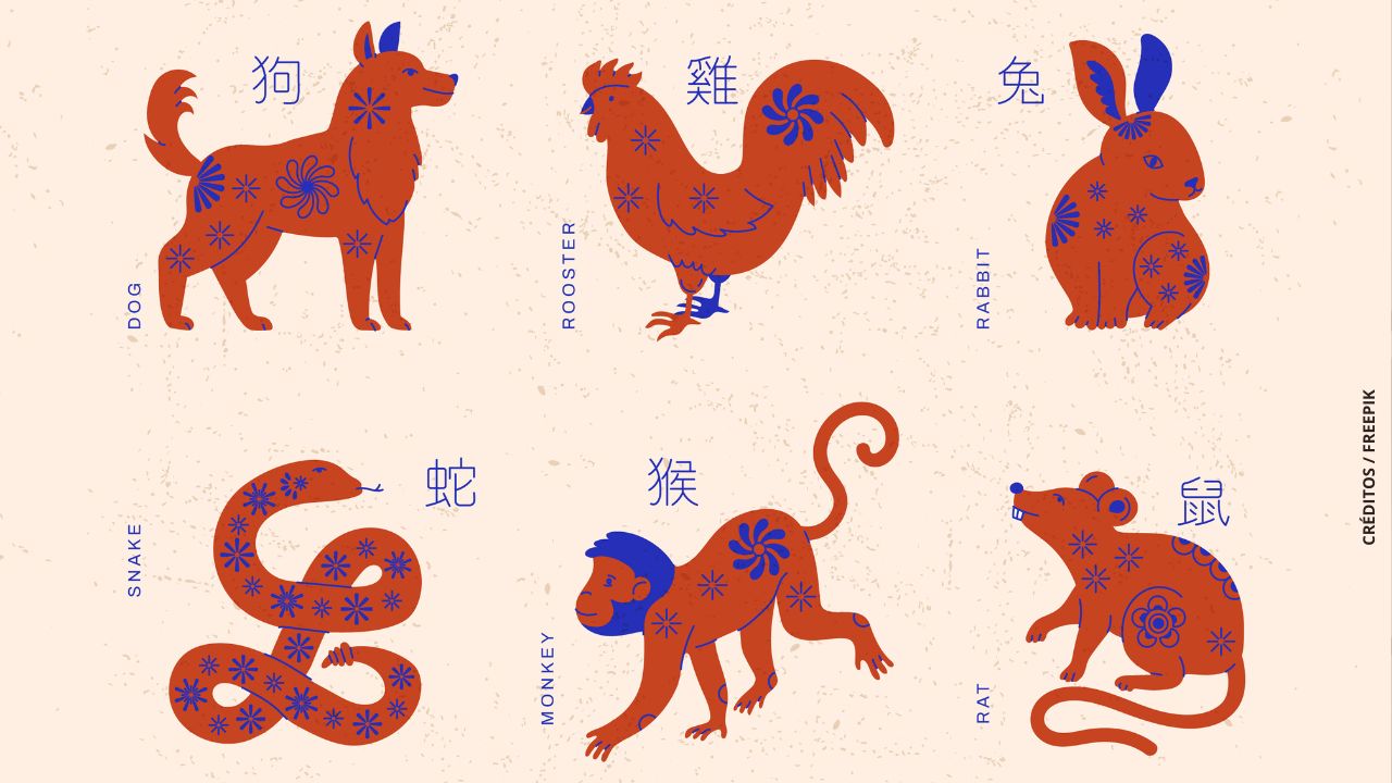 Que animal eres según tu signo zodiacal chino 60 photos ...