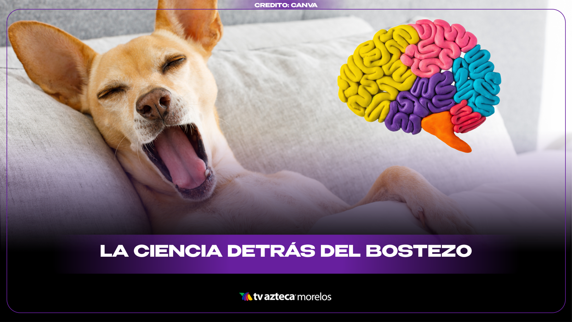 ¿Por qué el bostezo es contagioso?