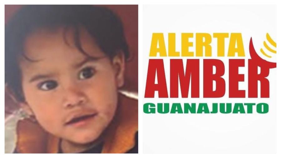 Alerta AMBER Guanajuato: Desaparición de Luna Estefanía Jayme Martínez ...